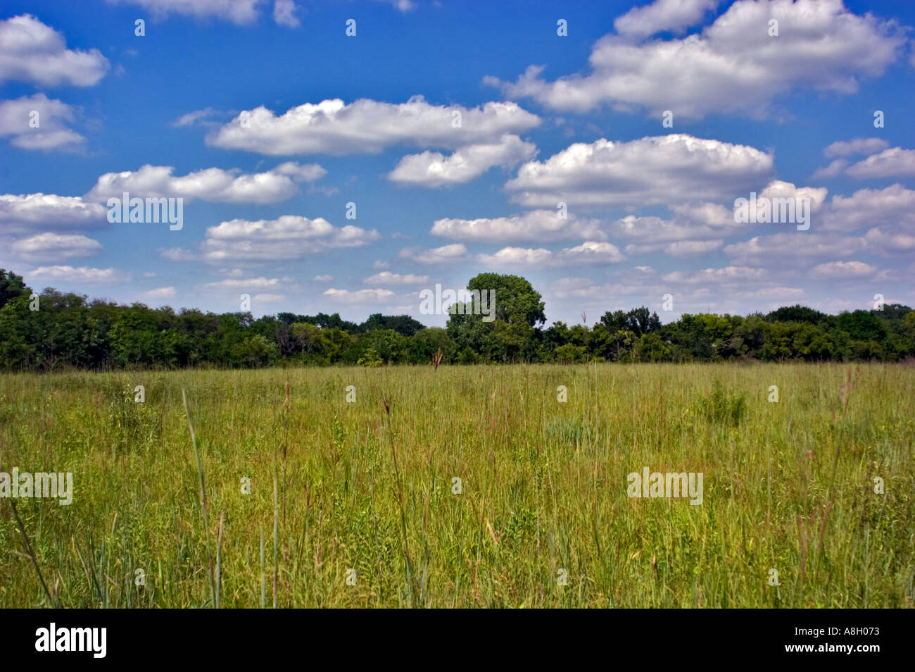 Wichita plant hi-res stock photography and images - Alamy
