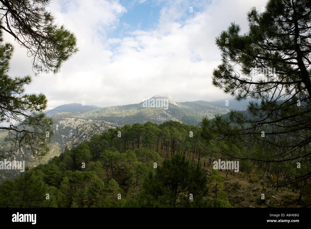 The Sierra de Cazorla - Spain Stock Photo - Alamy