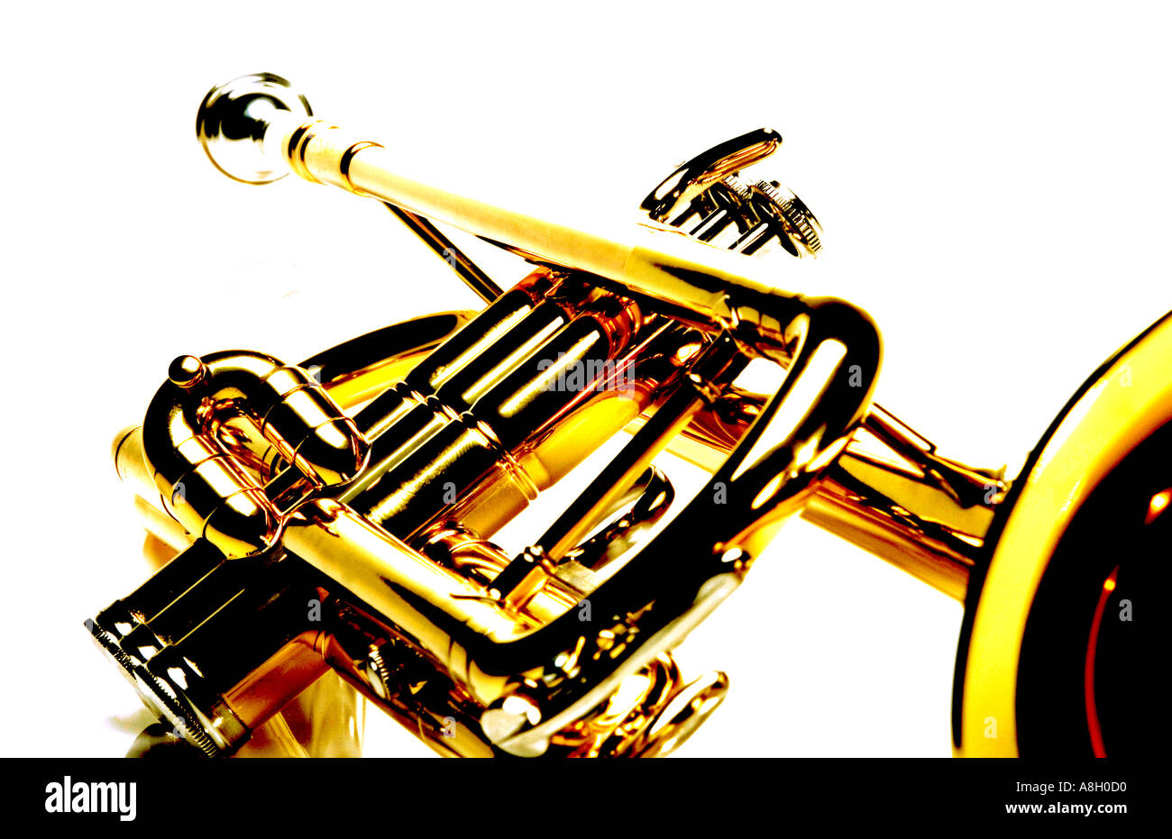 Trumpet on white background Stock Photo - Alamy
