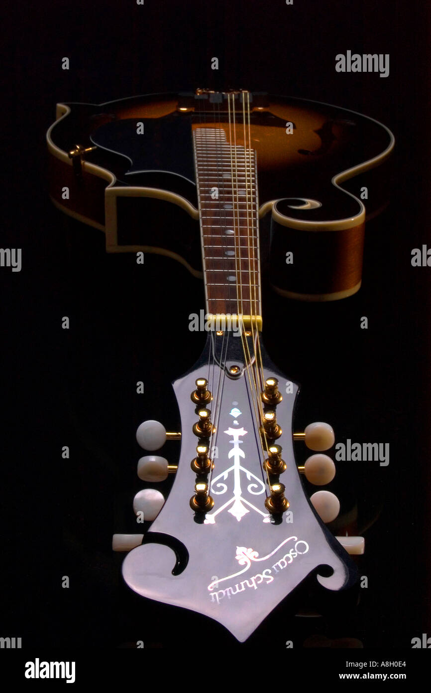 Lengthwise perspective of mandolin on black reflective background Stock ...