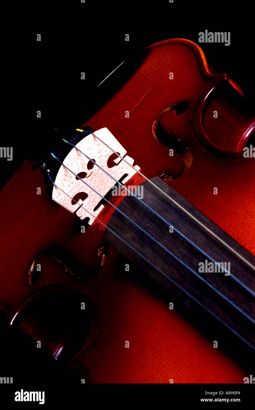Close up studio shot of tilted violin body Stock Photo - Alamy