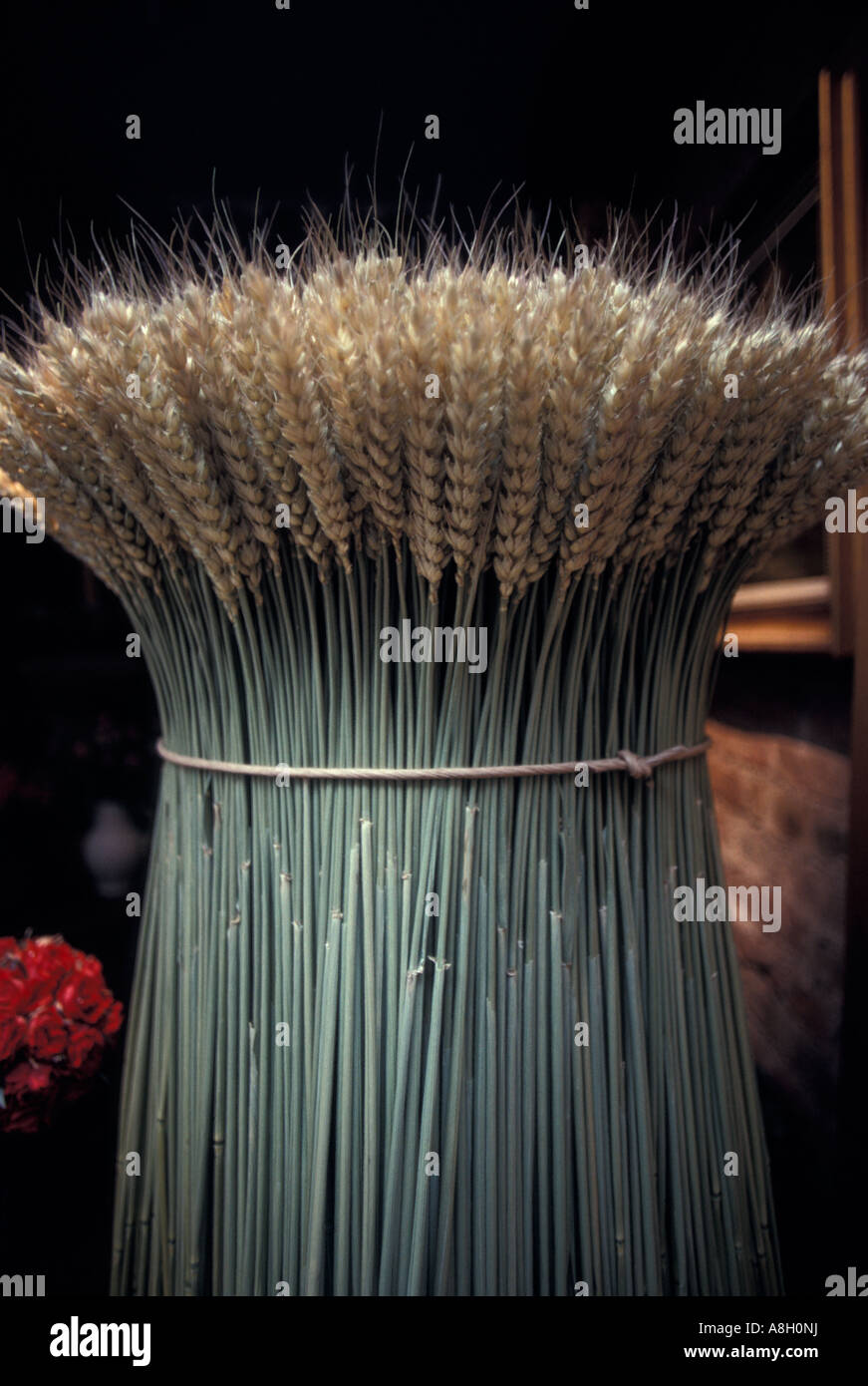 wheat NYC display Stock Photo - Alamy