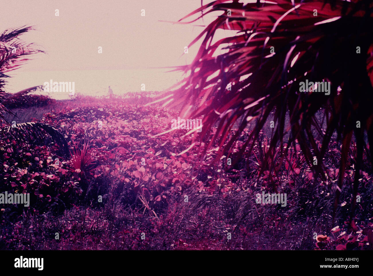 Wind arbor hi-res stock photography and images - Alamy