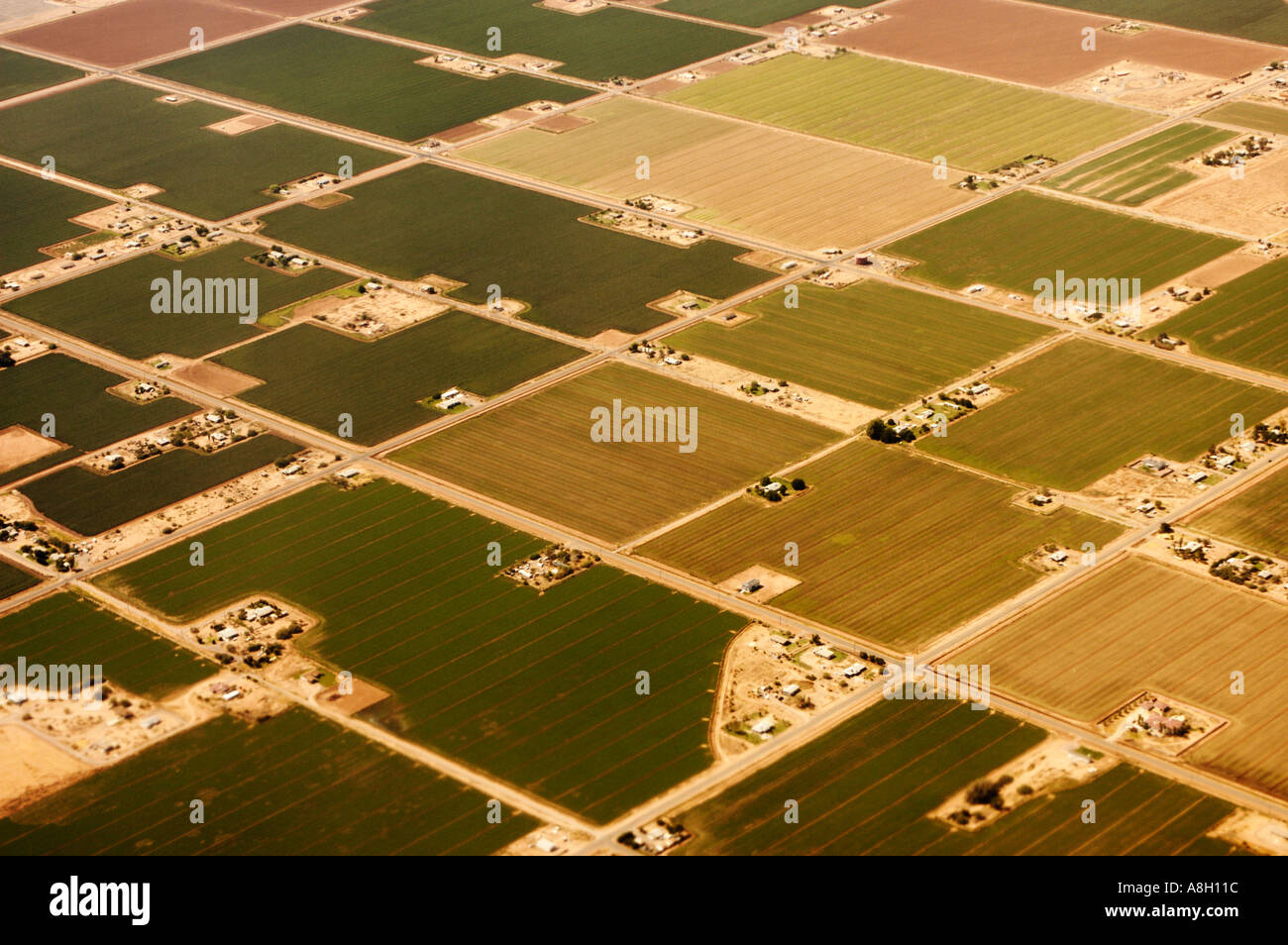 Arizona agriculture crops field hi-res stock photography and images - Alamy