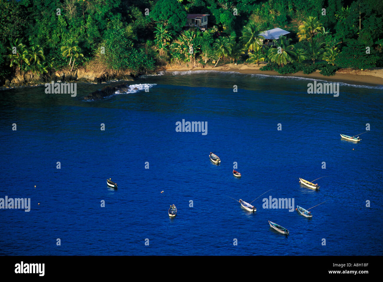 Parlatuvier bay, tobago hi-res stock photography and images - Alamy