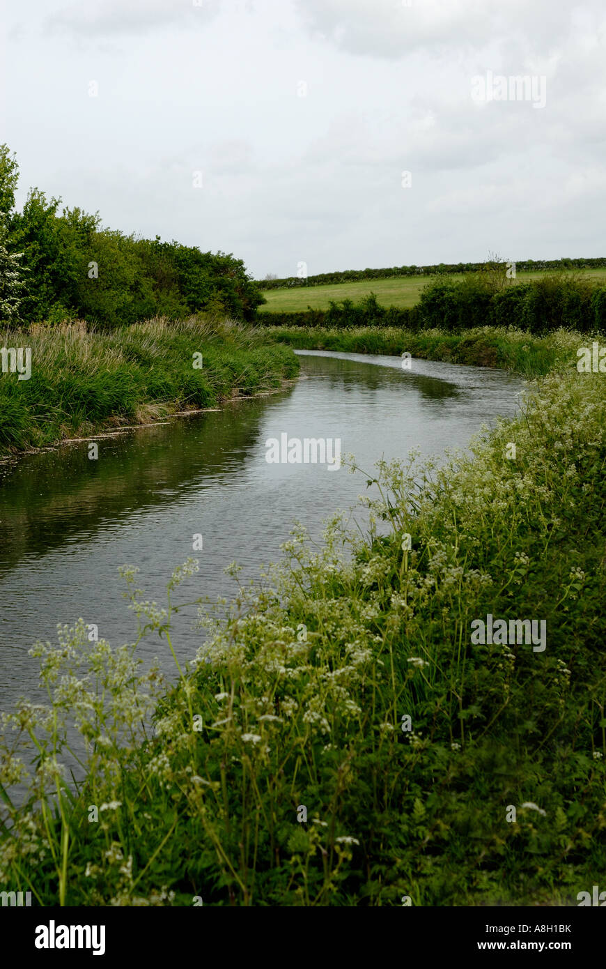 Bend in River Stock Photo - Alamy