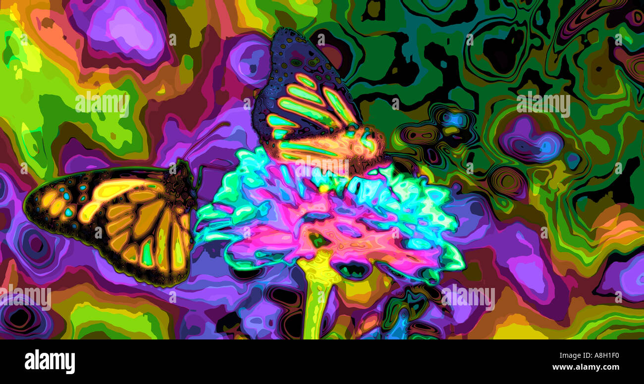 Monarch Butterfly Pop Art Style Stock Photo - Alamy