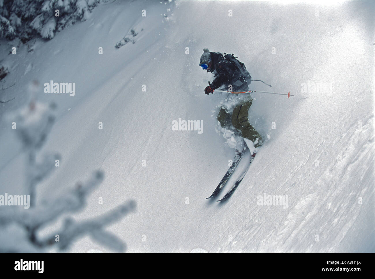 looks like fun Stock Photo - Alamy