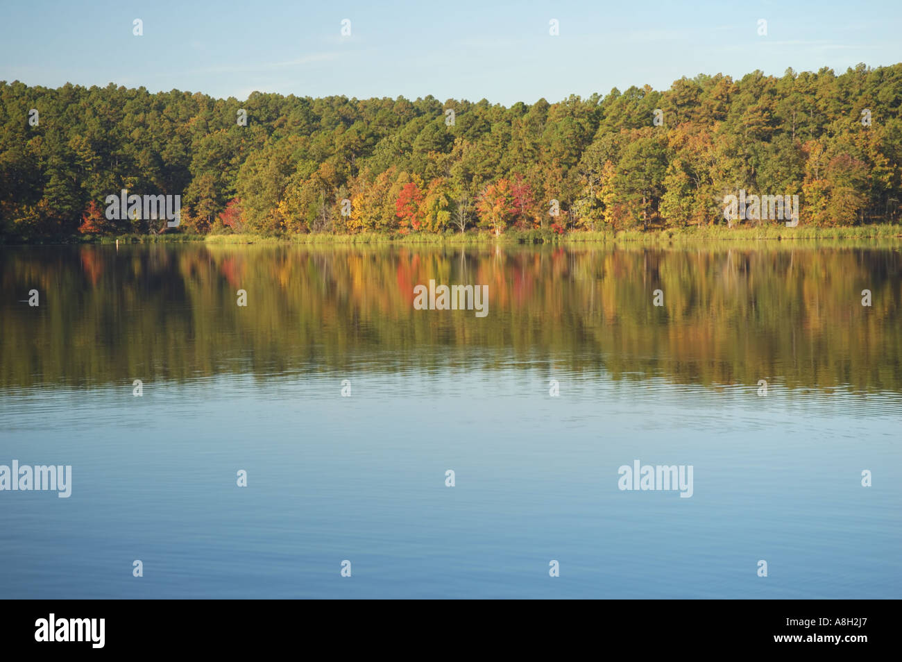 Fall Colors on Cedar Lake Stock Photo - Alamy