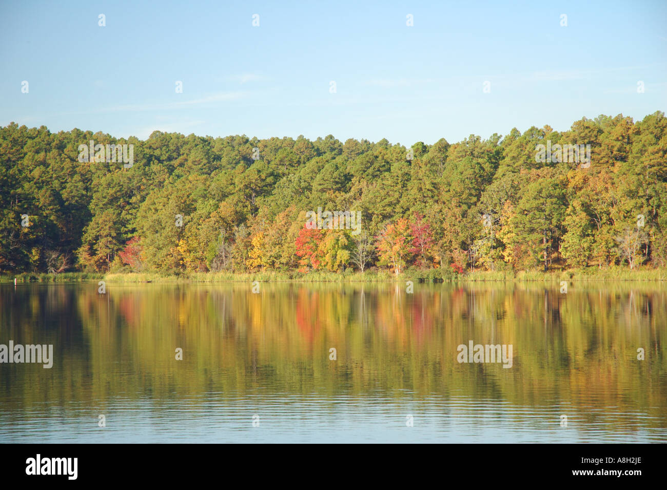 Fall Colors on Cedar Lake Stock Photo - Alamy