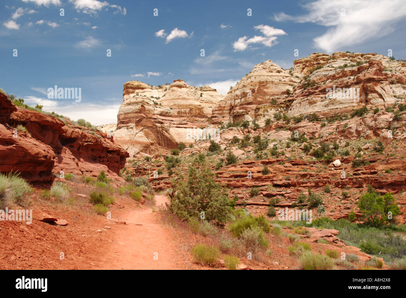 Calf creek trail hi-res stock photography and images - Alamy