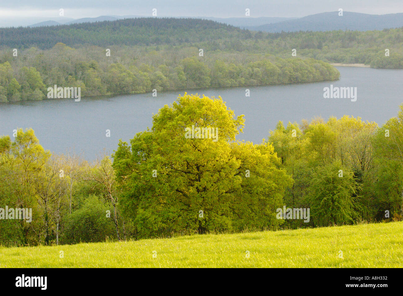 Ireland, Fermanagh, Lower Lough Erne Stock Photo - Alamy
