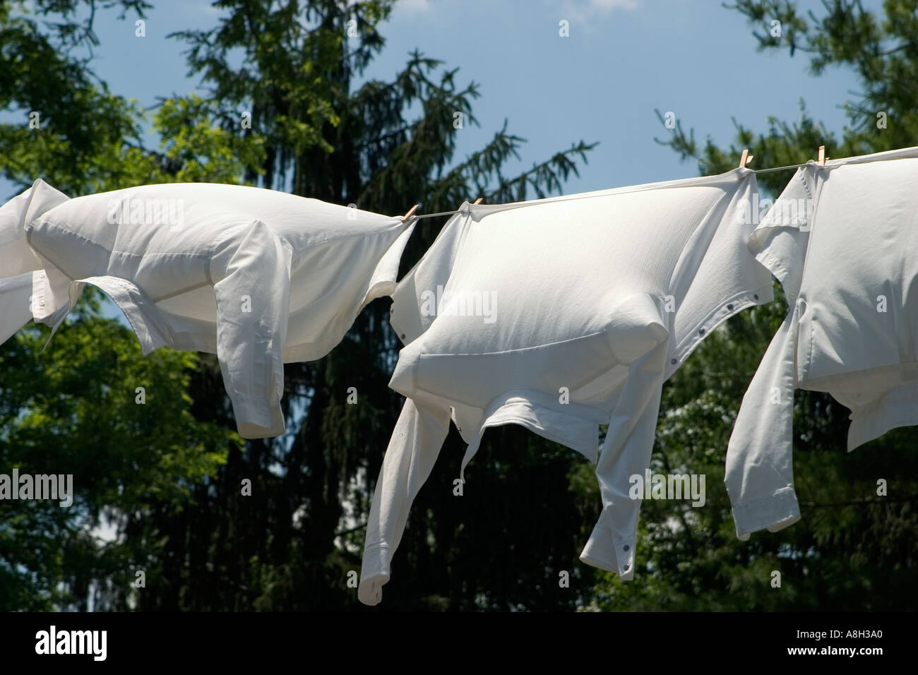 Shirts Billowing in Wind of Clothesline Amish Farm and House Lancaster ...