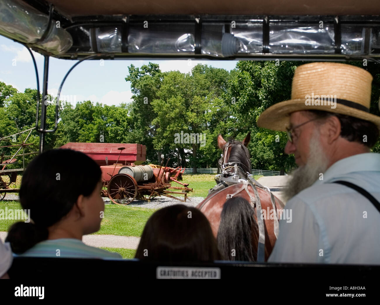 Bearded Amish Buggy Driver and Young Passengers Amish Farm and House ...