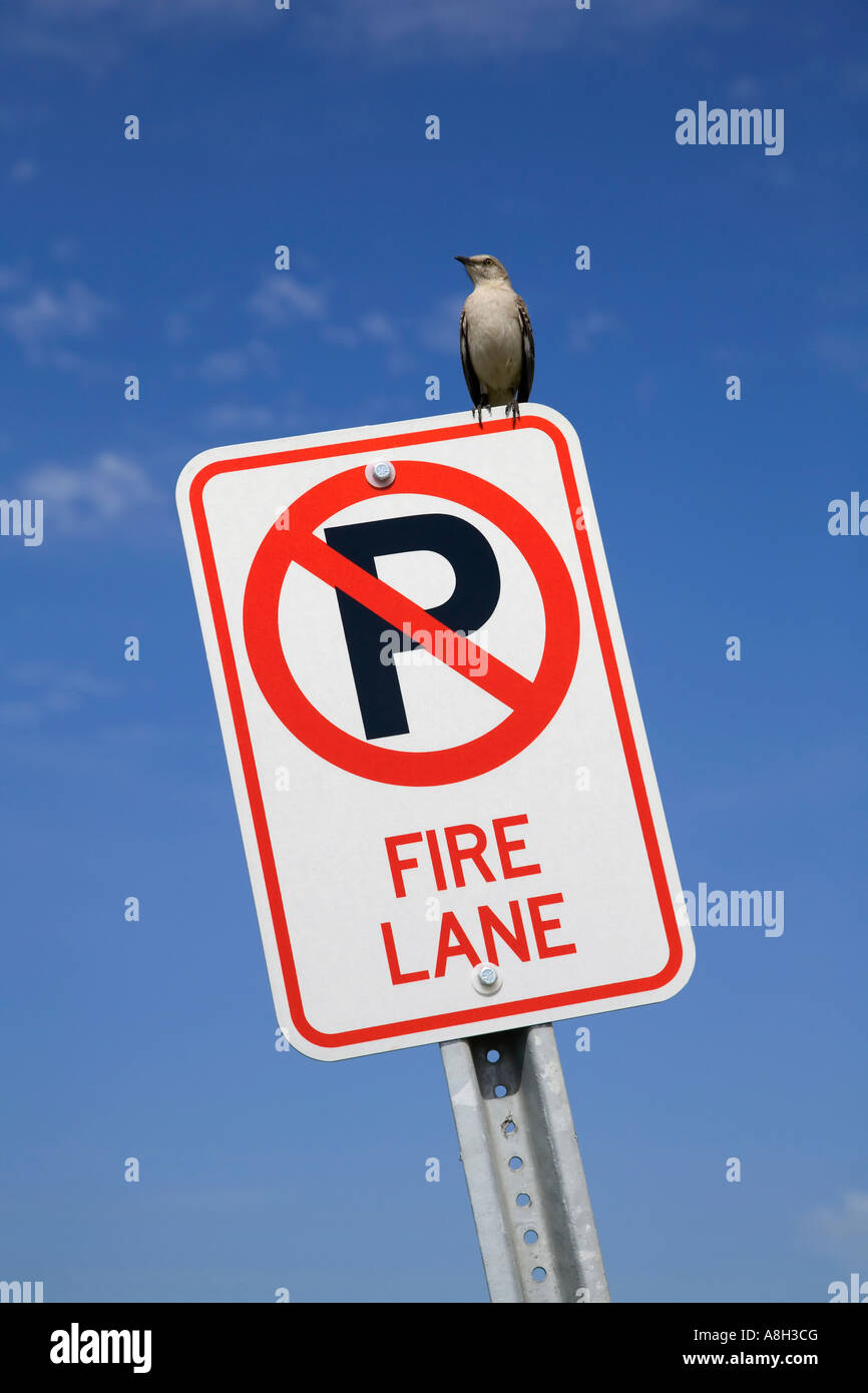 Fire lane hi-res stock photography and images - Alamy