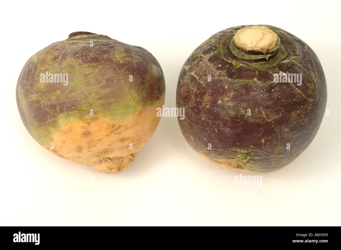 Root vegetable produce typical supermarket bought swedes Stock Photo ...