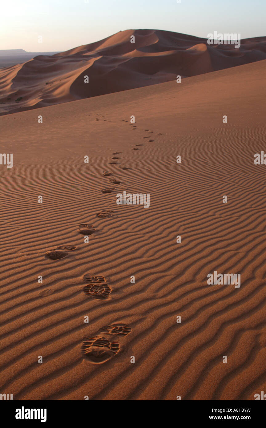 Human footsteps in the sand dunes of Erg Chebbi in the Sahara Desert ...
