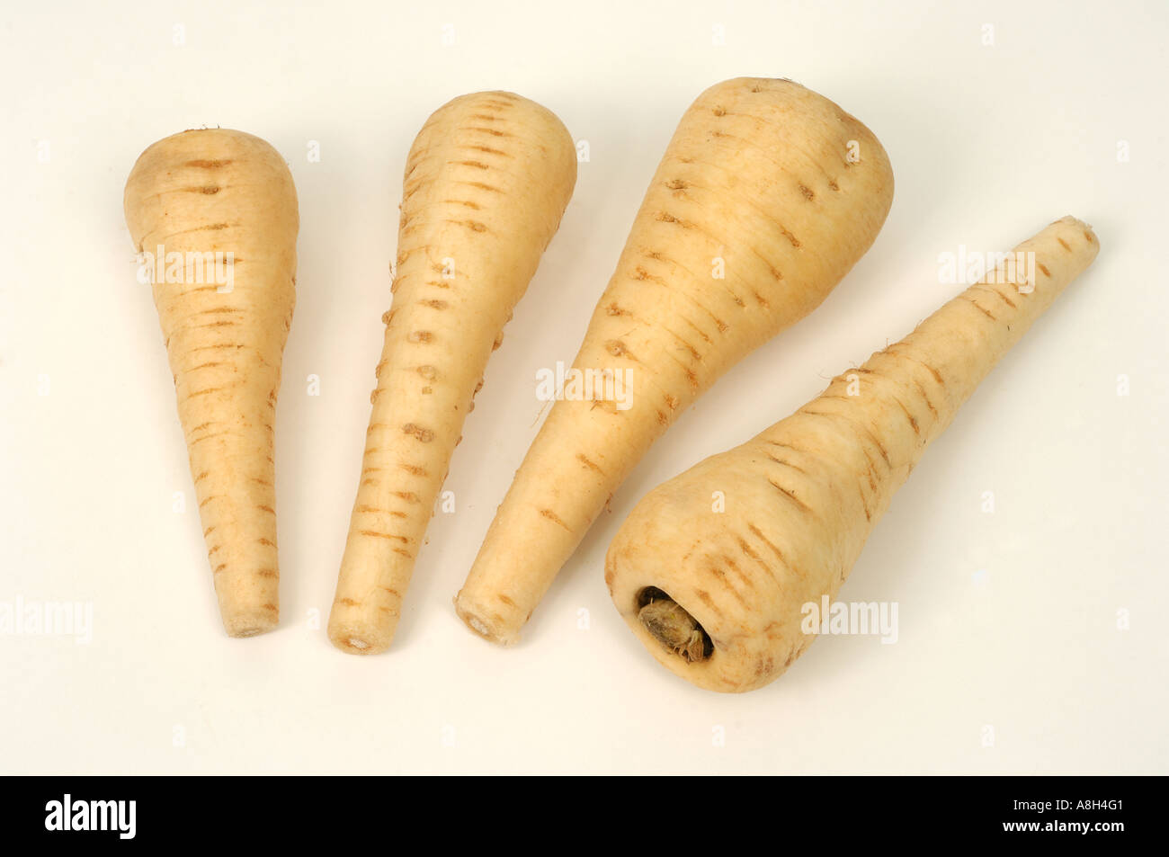 Root vegetable produce typical supermarket bought parsnips Stock Photo ...