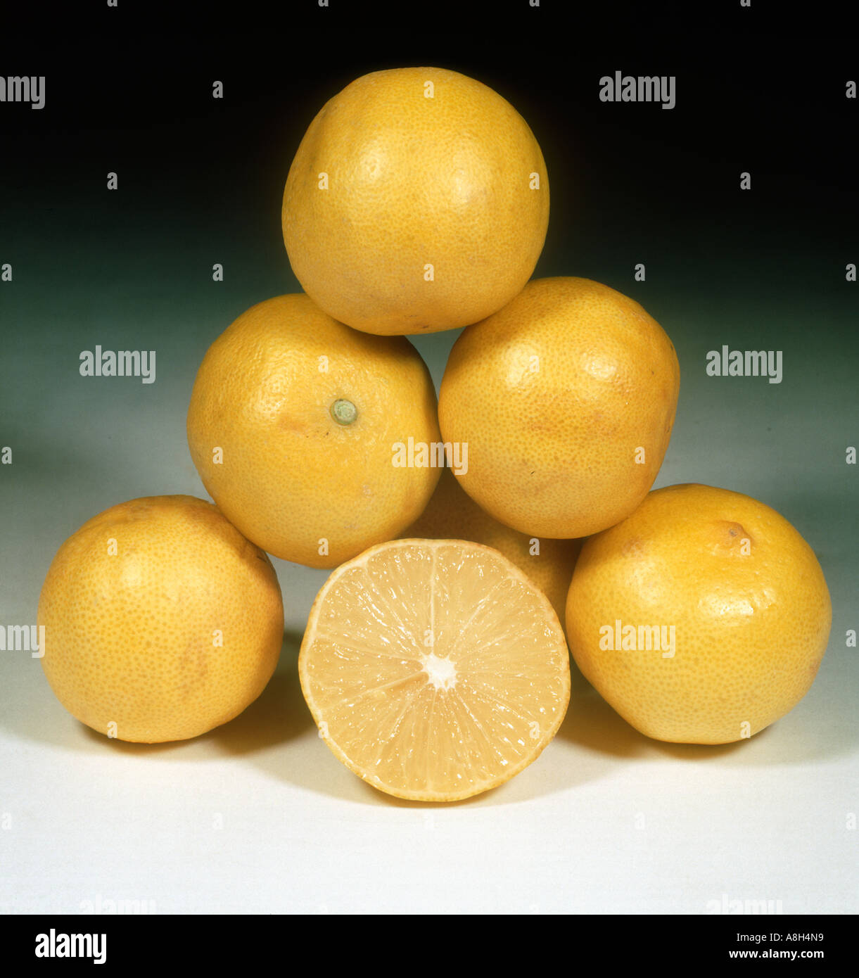 Group of whole sectioned lime fruit variety Palestinian Sweet Lime ...