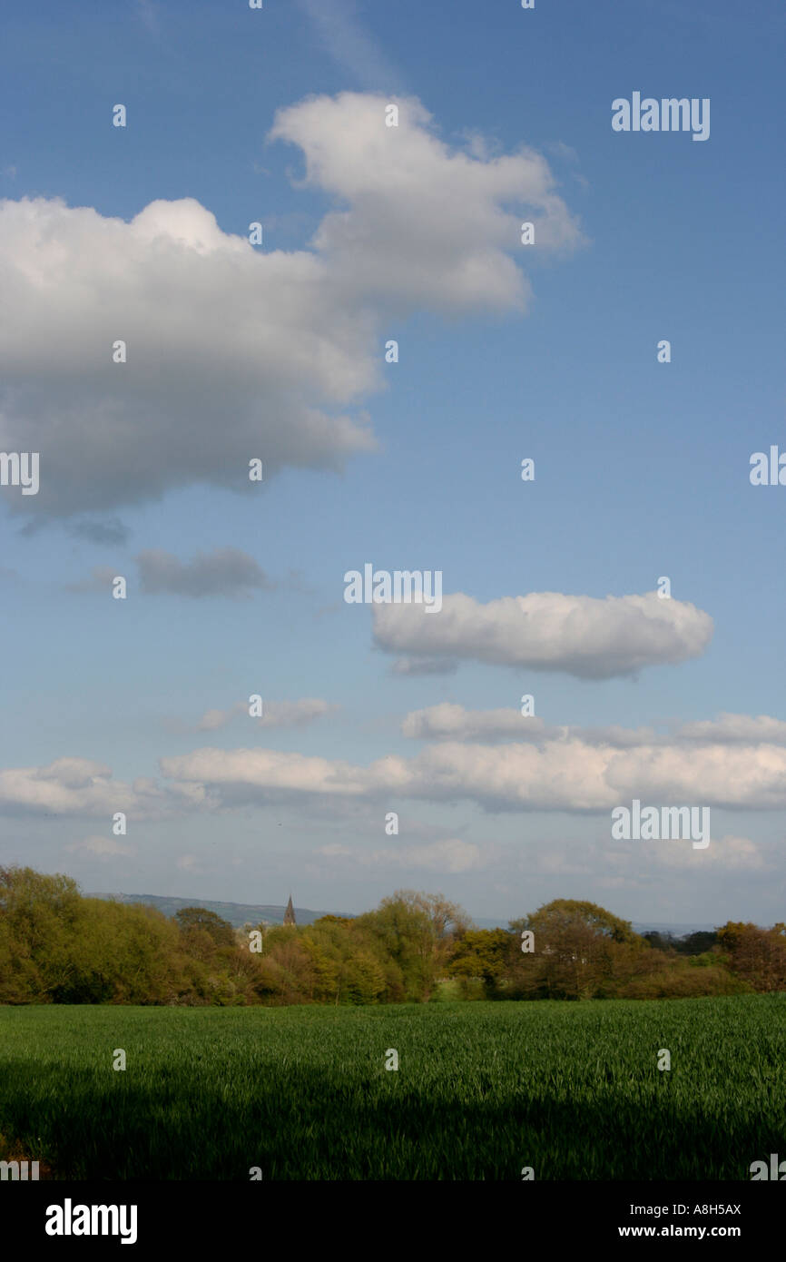 big blue sky and countryside scene of lush green growing crop and ...