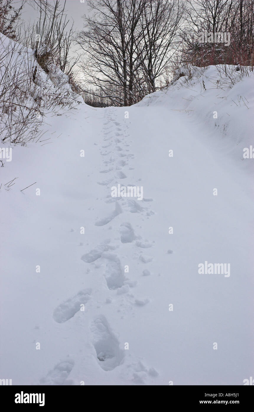 Footsteps snow hi-res stock photography and images - Alamy