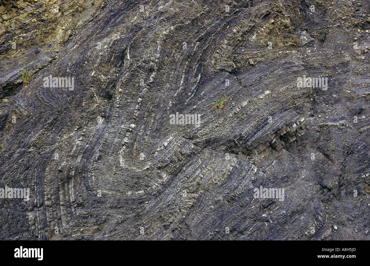 Limestone the hi-res stock photography and images - Alamy