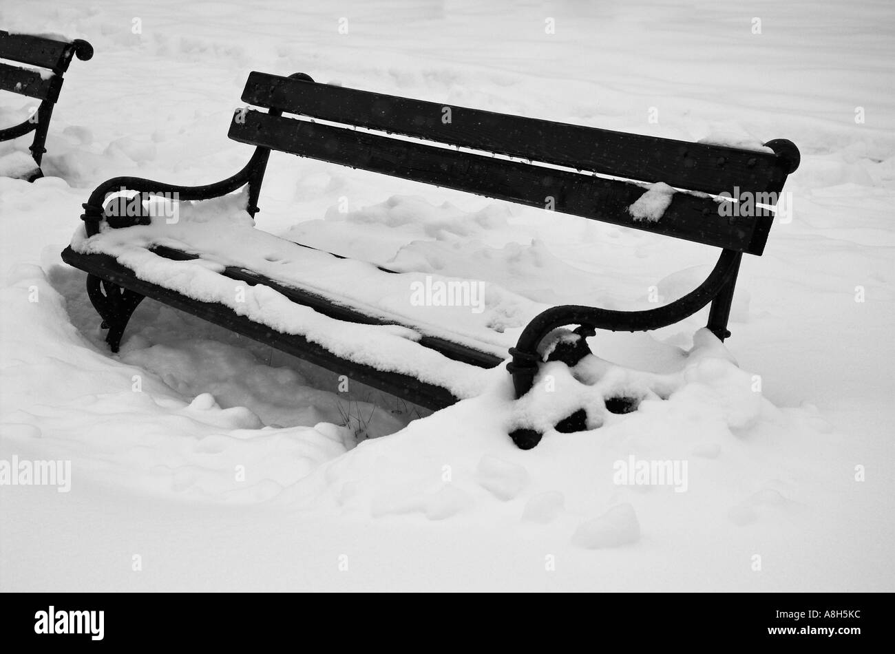 Snow covered park bench Stock Photo - Alamy