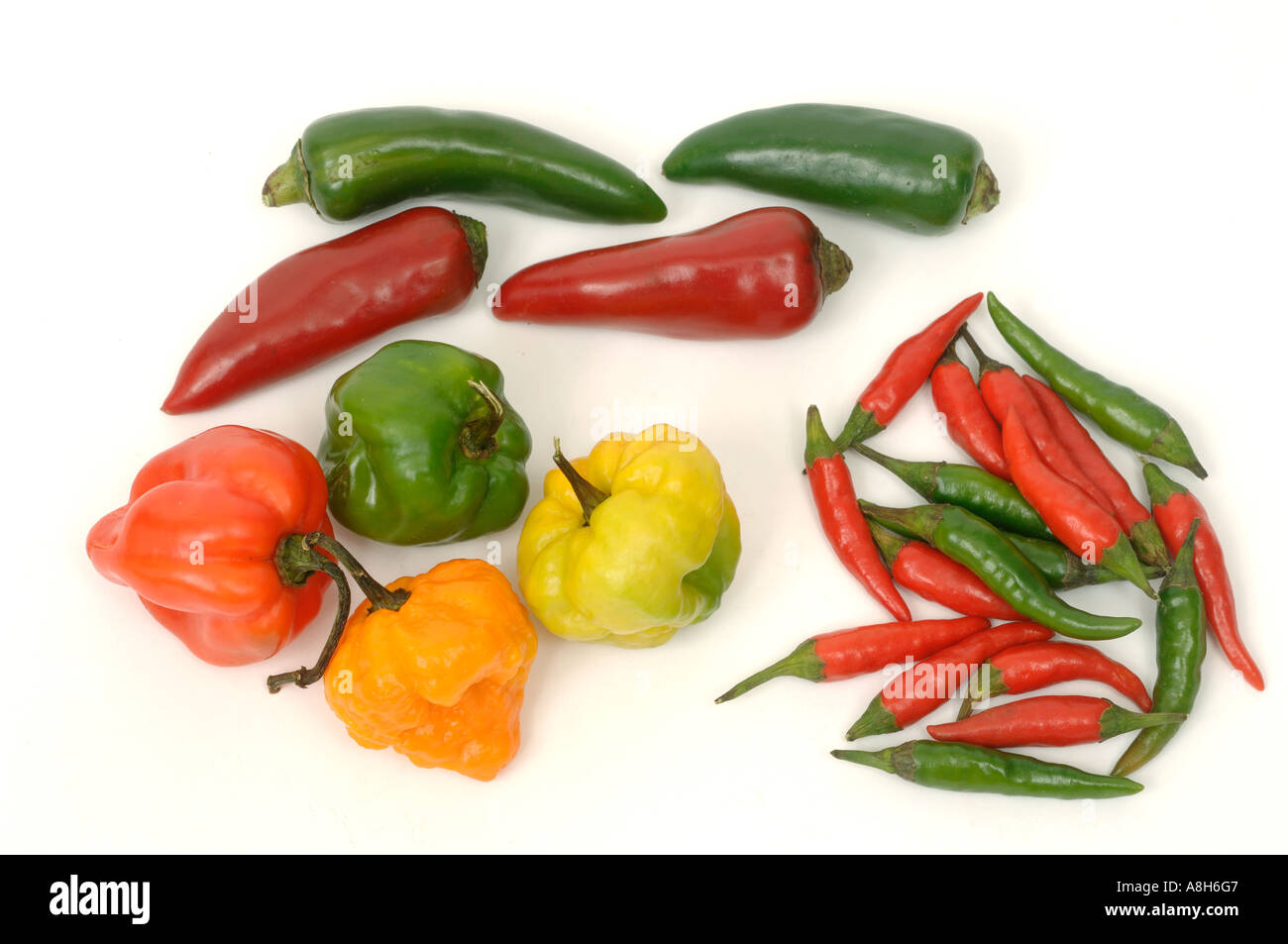 Vegetable produce typical supermarket bought mixed types of chilli ...