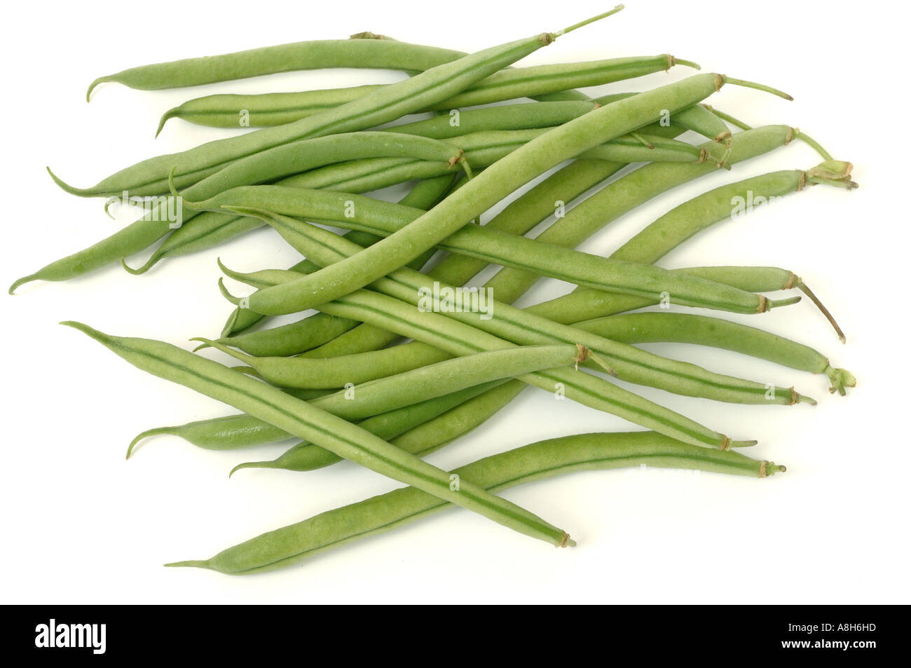 Vegetable produce typical supermarket bought string or green beans ...