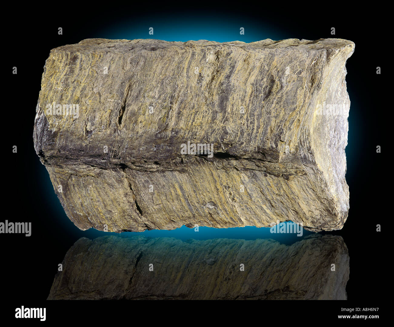 Cyanobacteria fossil hi-res stock photography and images - Alamy