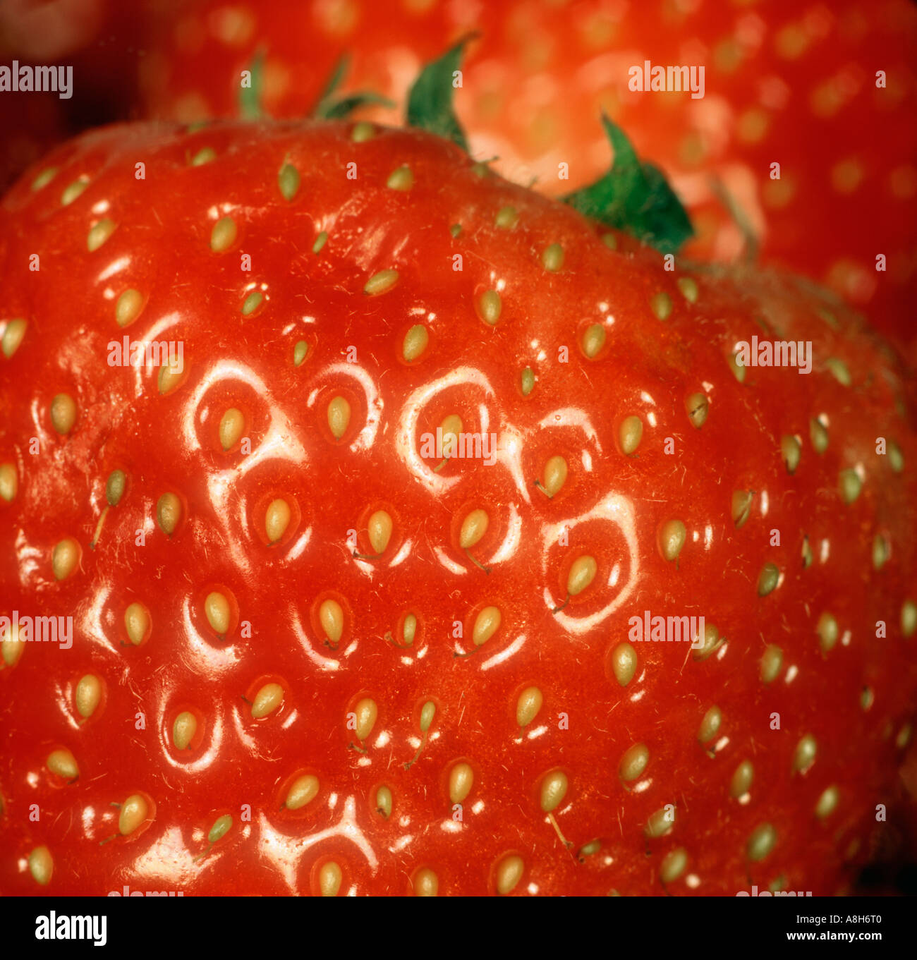 Aggregate accessory fruit hi-res stock photography and images - Alamy