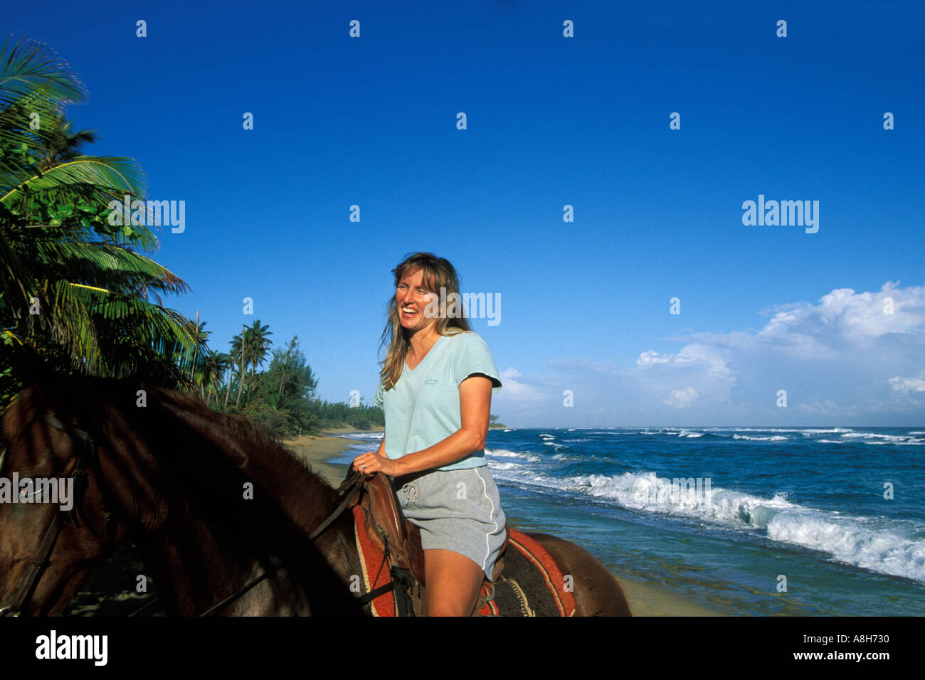 Puerto Rico, Isabela, Horseback riding on beach Stock Photo - Alamy