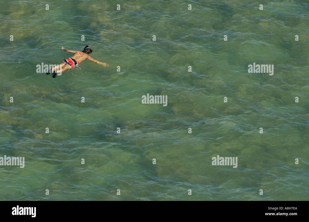 Snorkeler floating in water at Hanauma Bay Oahu Hawaii Stock Photo - Alamy
