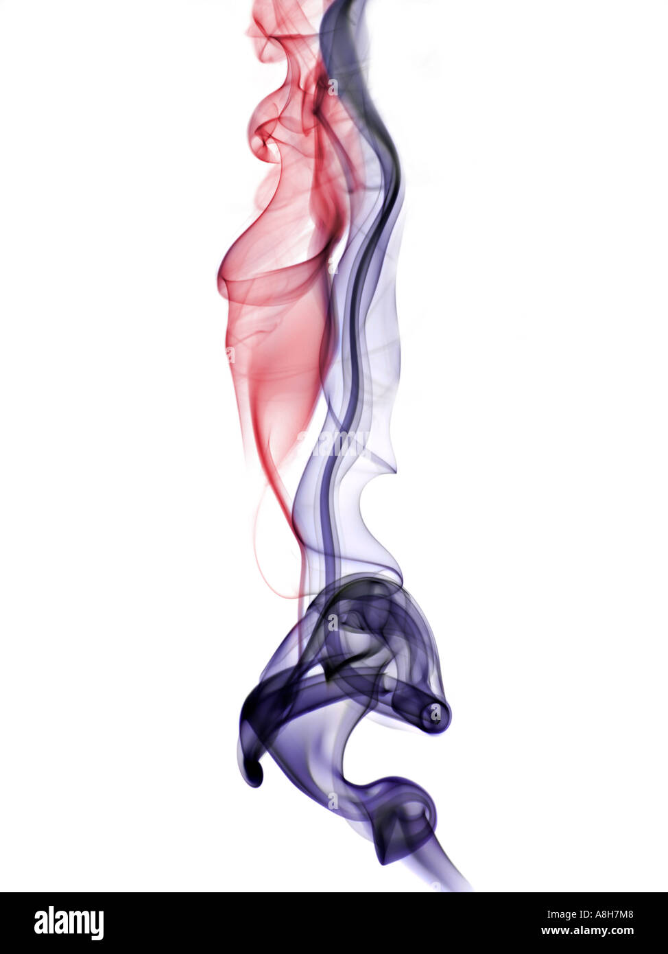 Woman standing on a dolphin s back (abstract) - Colorized incense smoke ...