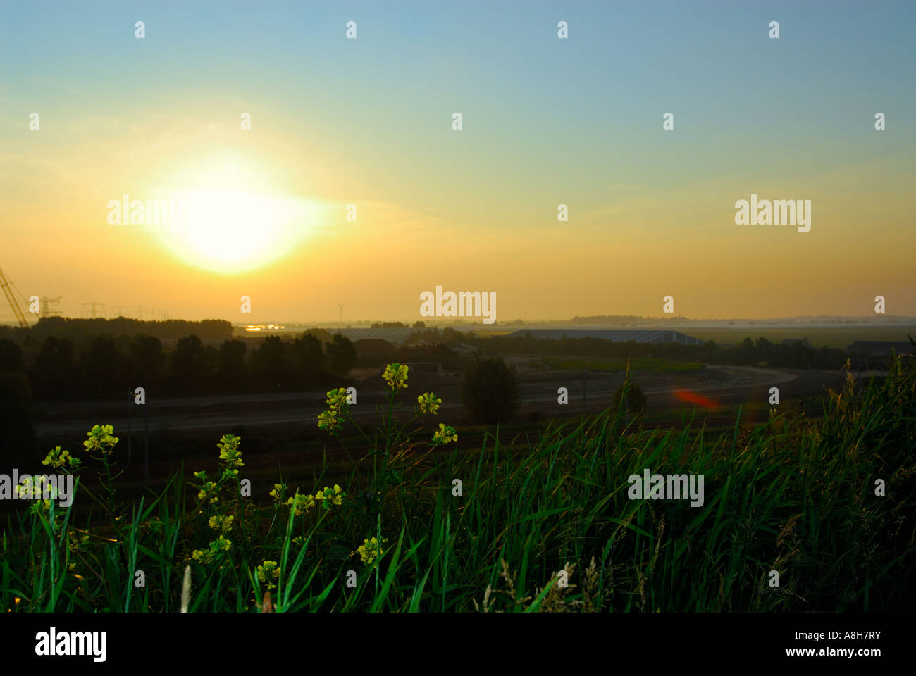 Big view Westland with sunset Holland Stock Photo - Alamy