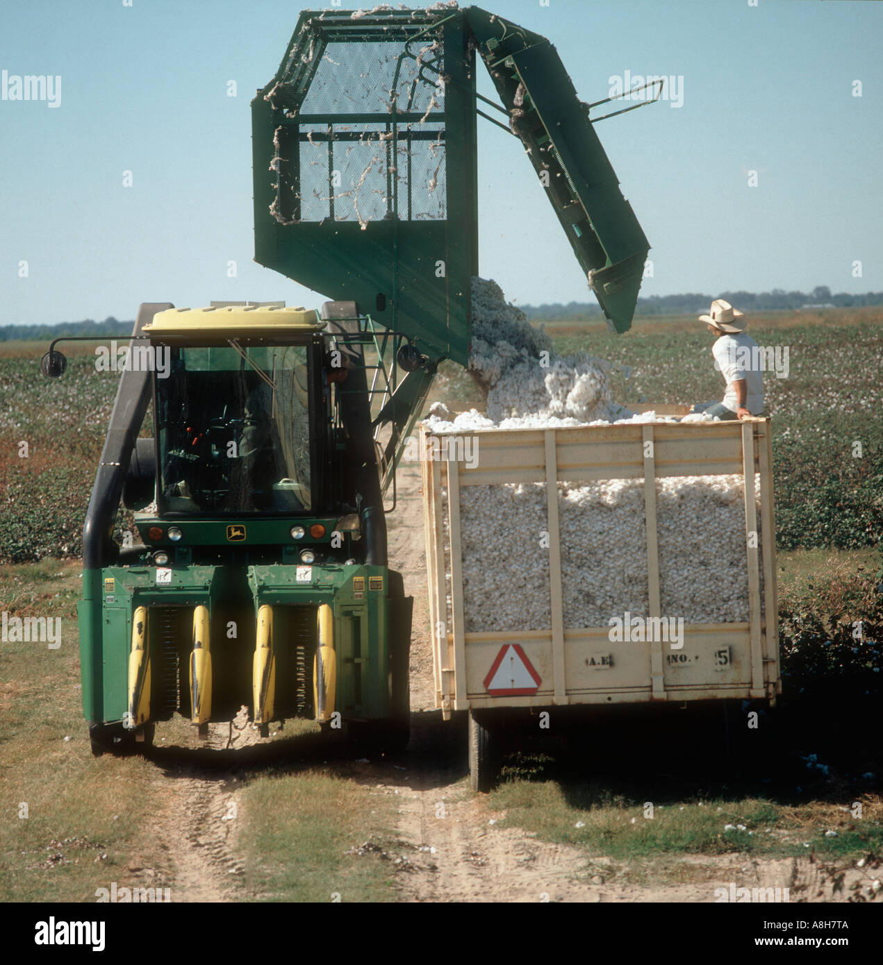 Driver sitting on a cotton picker discharging harvested crop to a ...