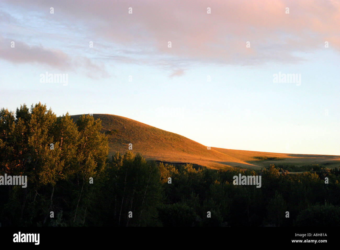 Cluny alberta hi-res stock photography and images - Alamy