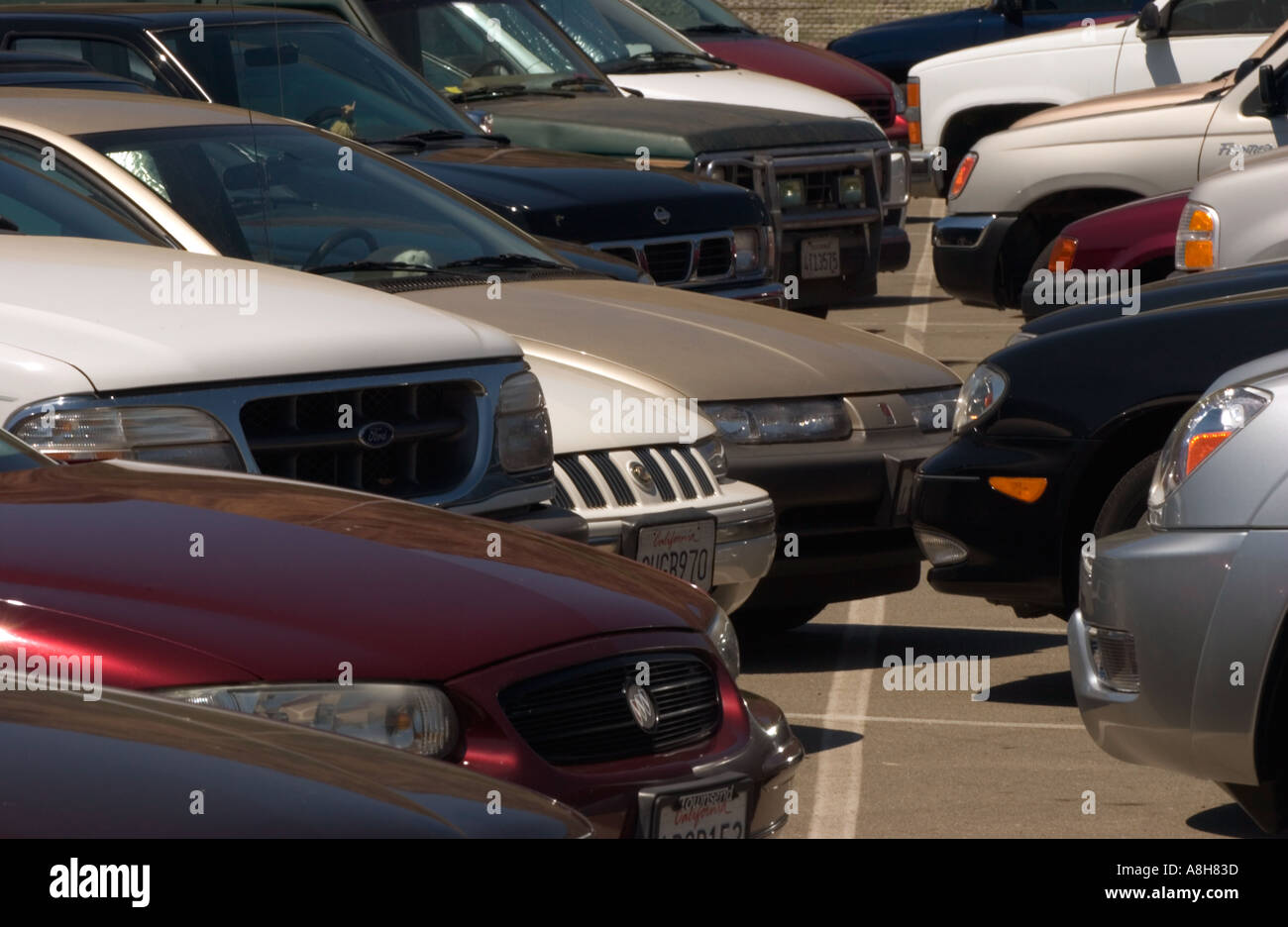Cars parked nose to nose in parking lot Stock Photo - Alamy