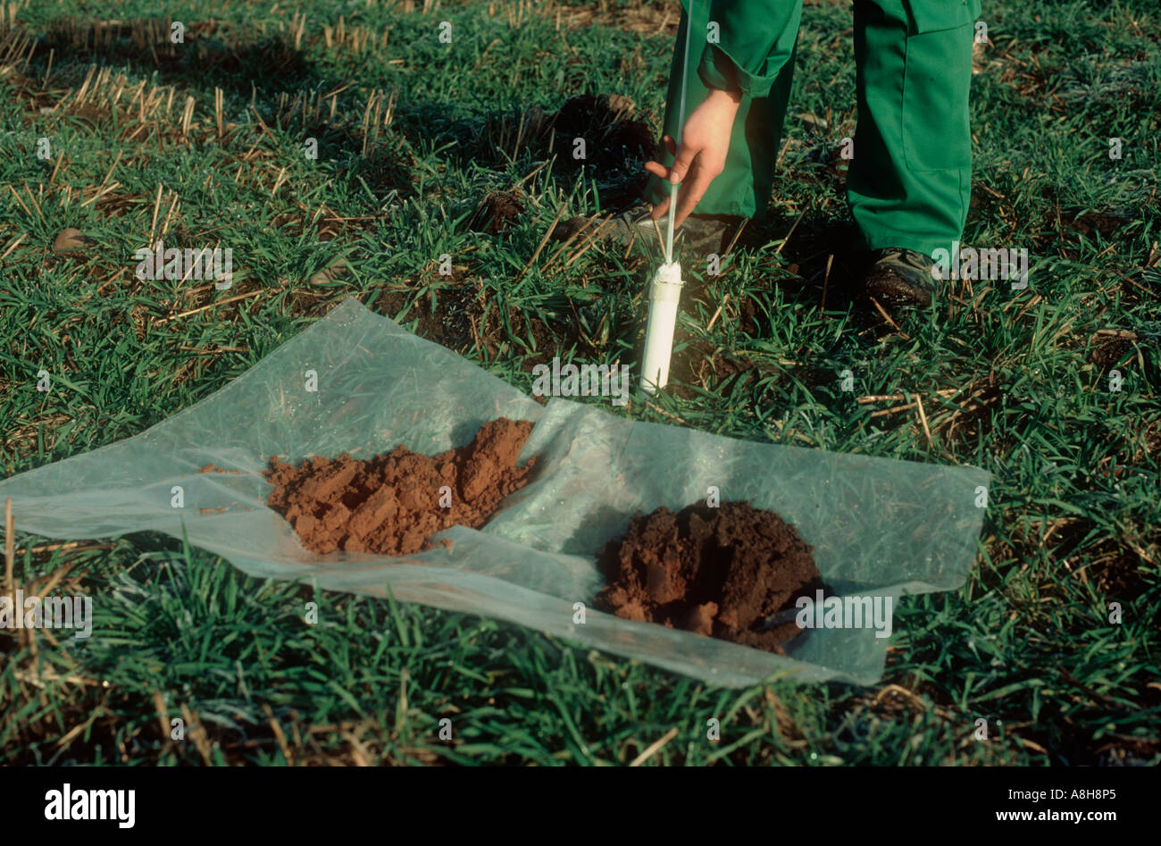 Technician placing a porous pot in the bore hole to monitor chemical ...