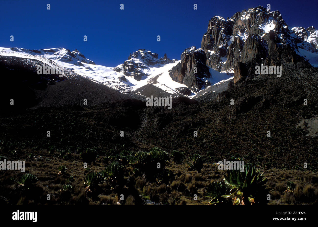 Point lenana hi-res stock photography and images - Alamy