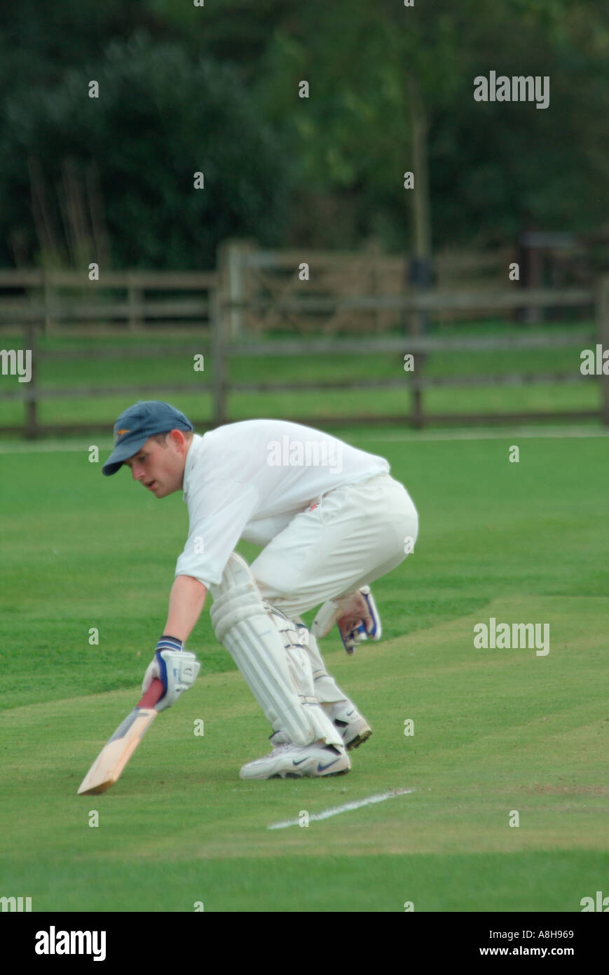 Men Playing Cricket At High Resolution Stock Photography and Images - Alamy