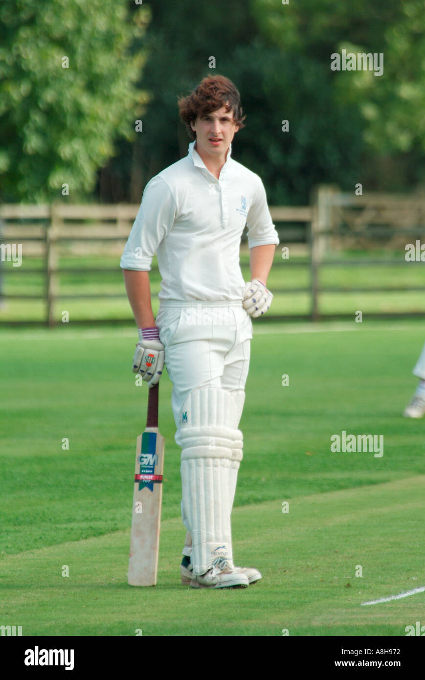 Men Playing Cricket At High Resolution Stock Photography and Images - Alamy