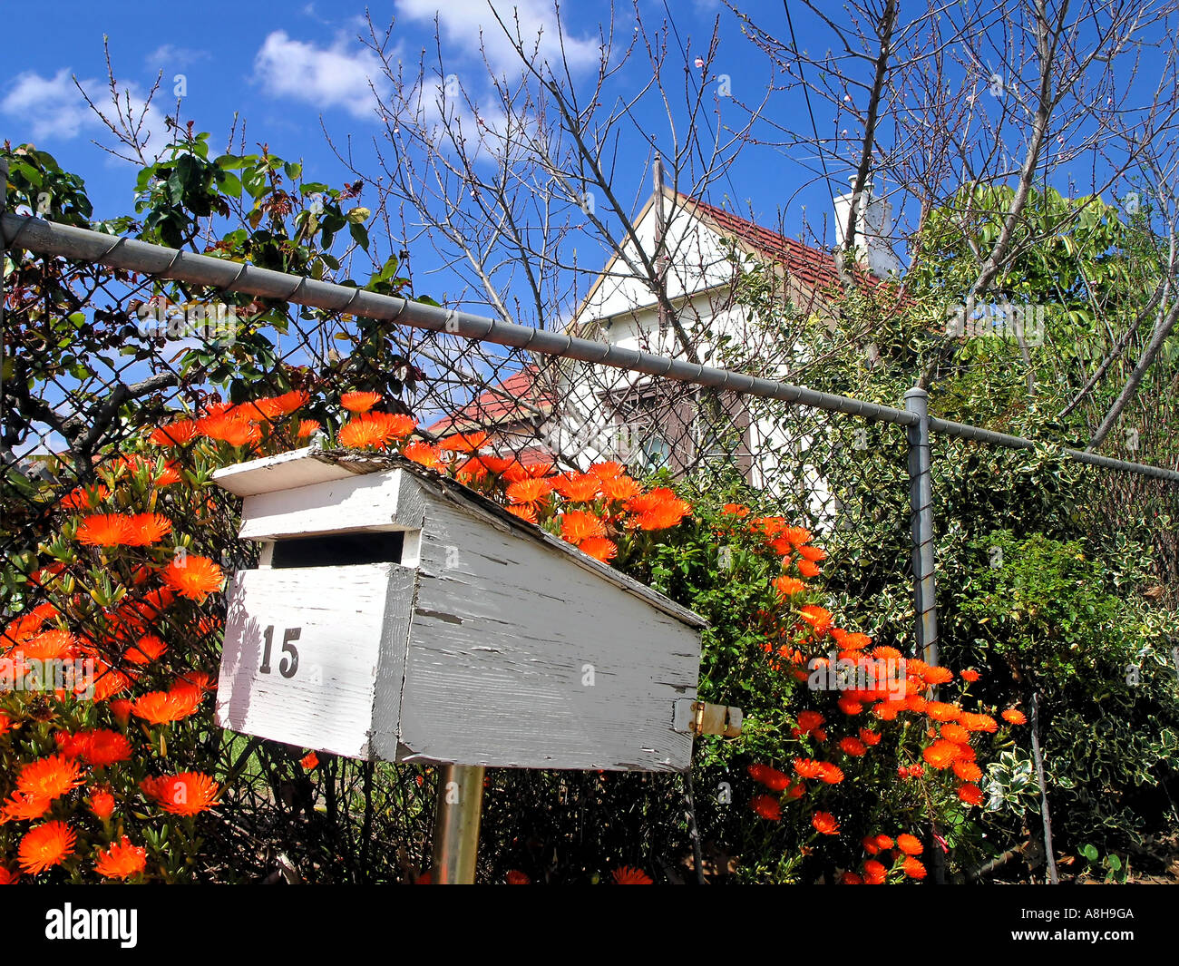 Letterbox flowers hi-res stock photography and images - Alamy