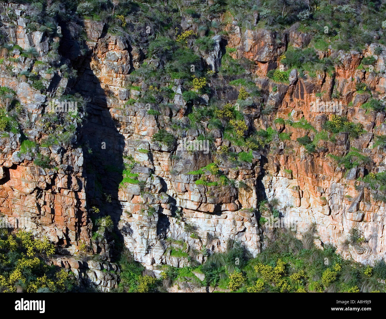 Morialta Rock Face Stock Photo - Alamy
