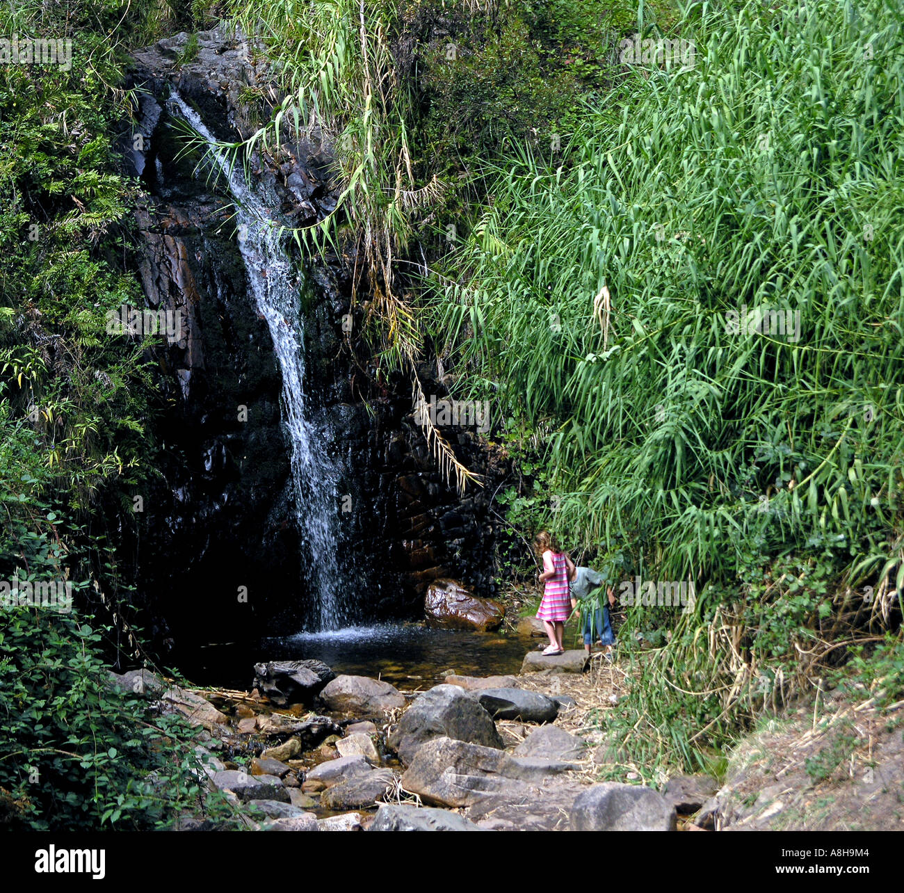 Adelaide waterfall hi-res stock photography and images - Alamy