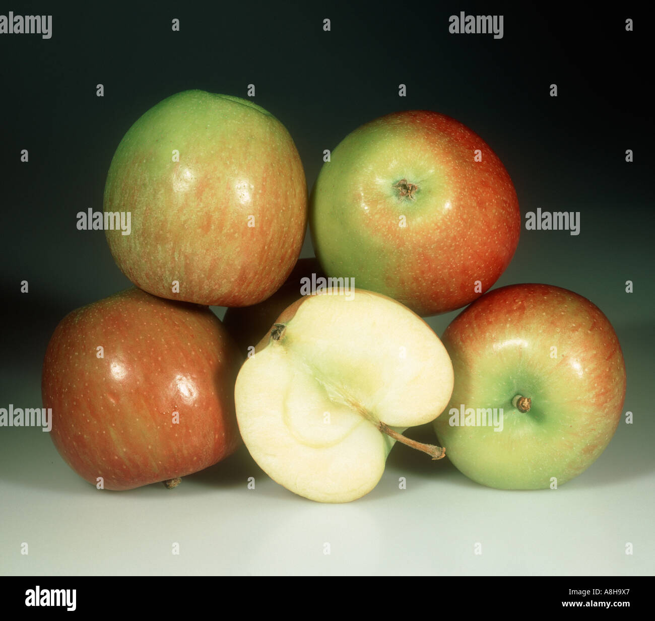 Sectioned hi-res stock photography and images - Alamy