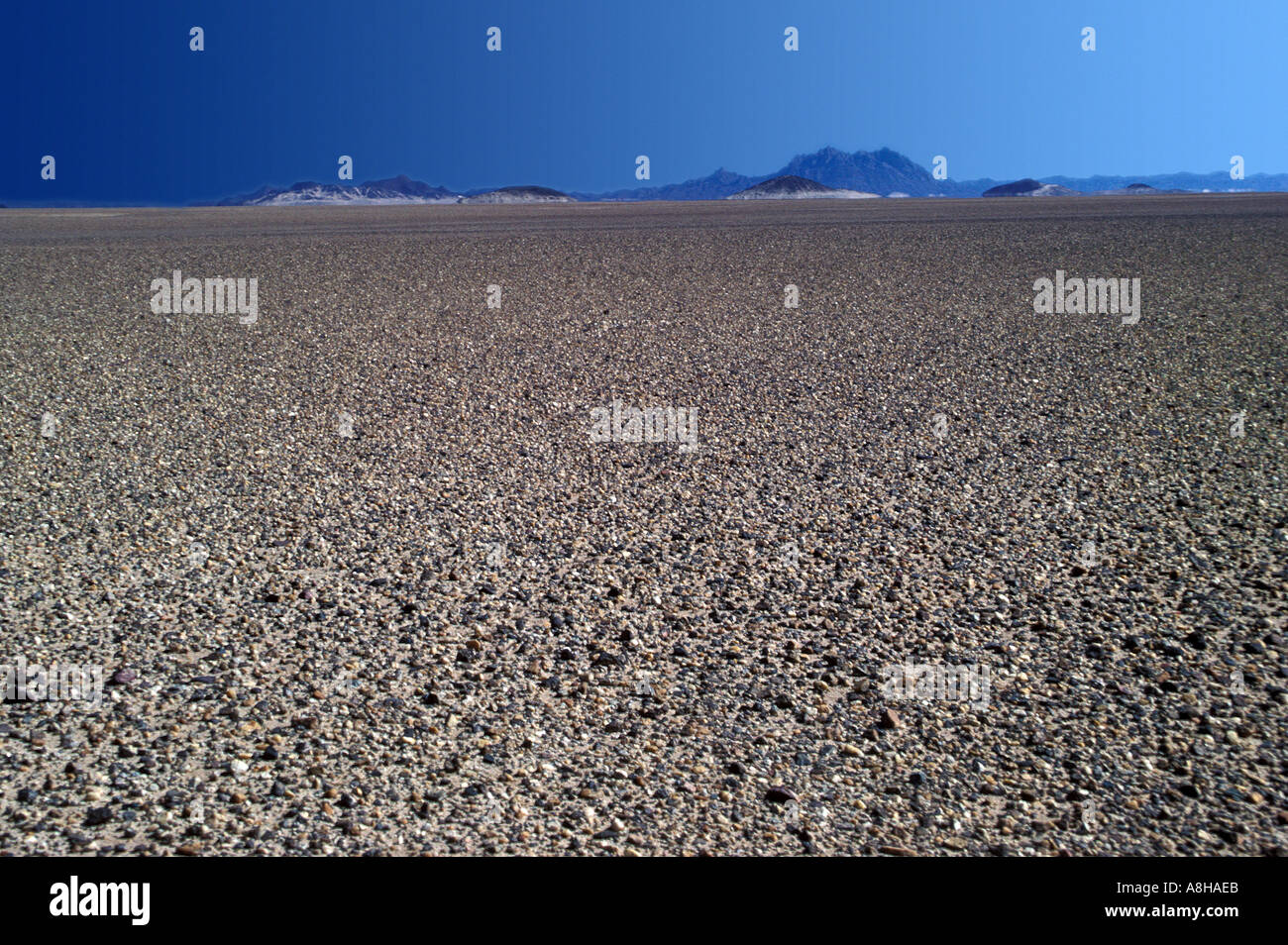 ECOSYSTEM DESERT Sahara Reg Stock Photo - Alamy