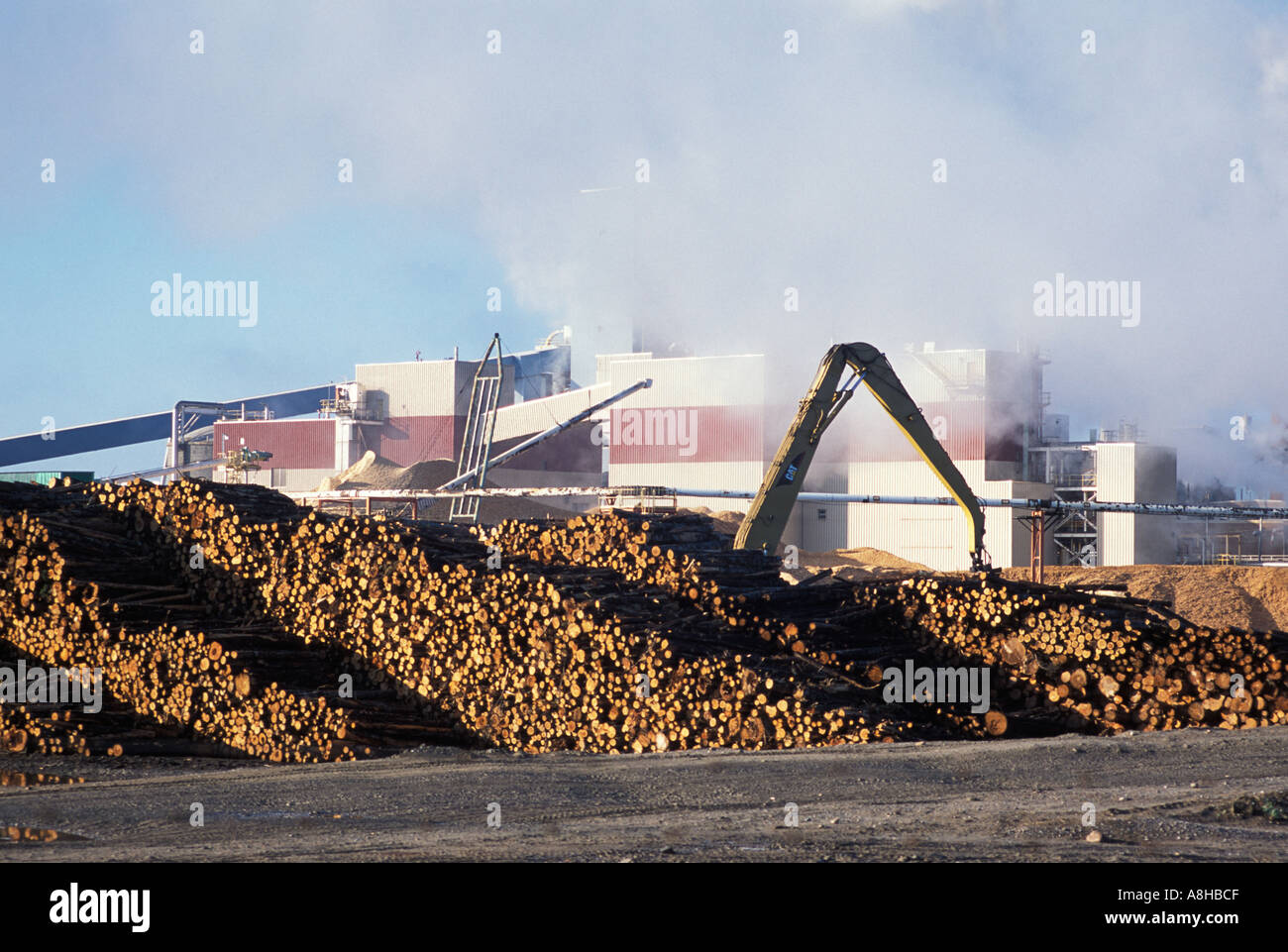 UPM Kymmene Pulp and Paper Mill in Miramichi New Brunswick Canada Stock ...