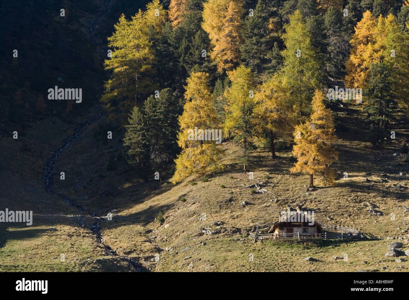 Sudtirol house farm mountain hi-res stock photography and images - Alamy