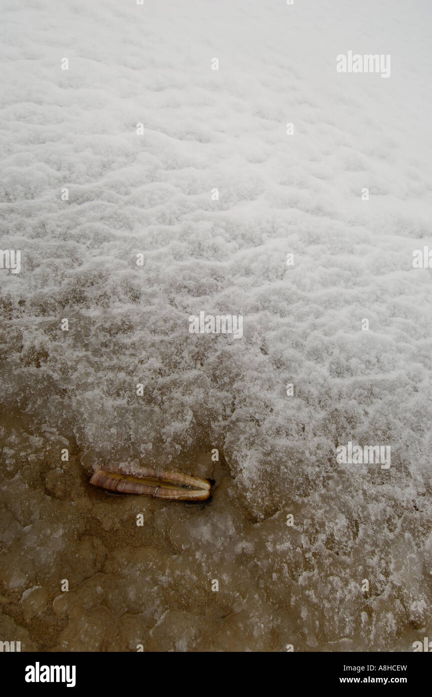 Nl nederland netherlands landscape hi-res stock photography and images ...